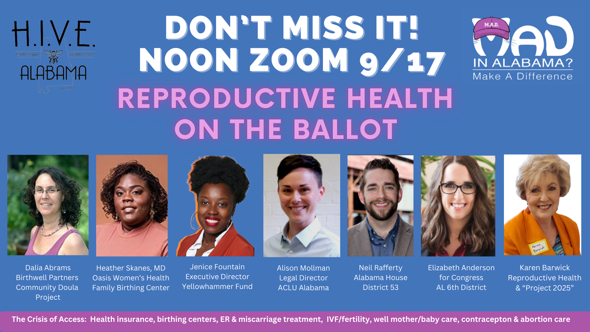 Reproductive Health on the Ballot Zoom | HIVE Alabama